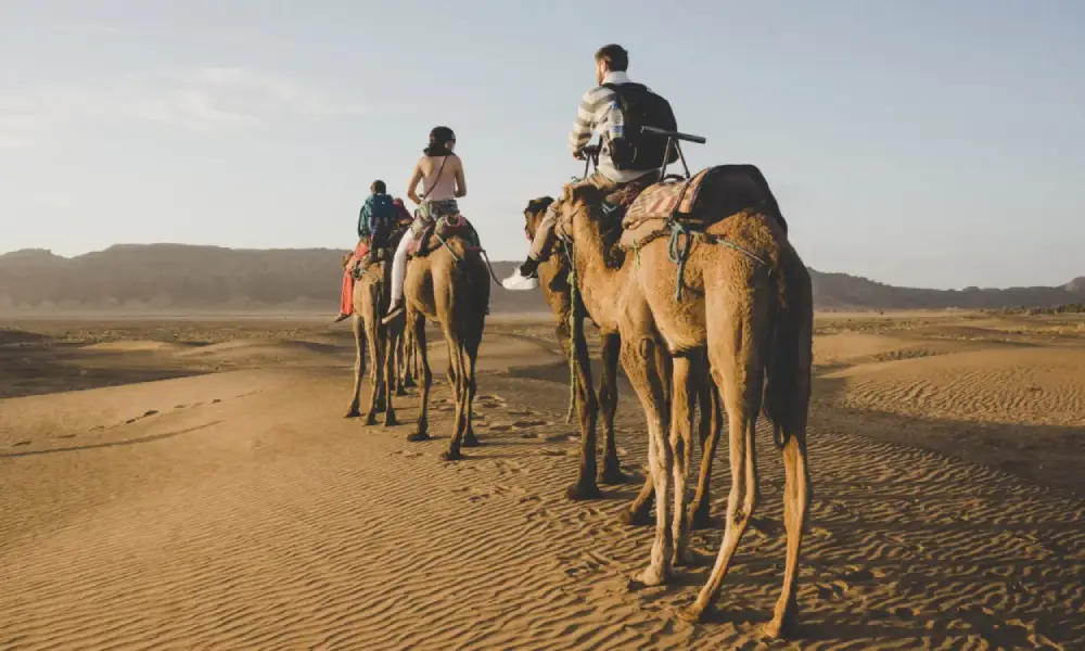 All About Camel Ride Trips